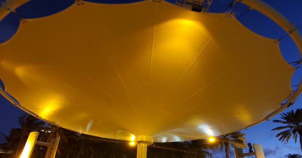 Sea Turtle Friendly Lighting | Solar Illuminations