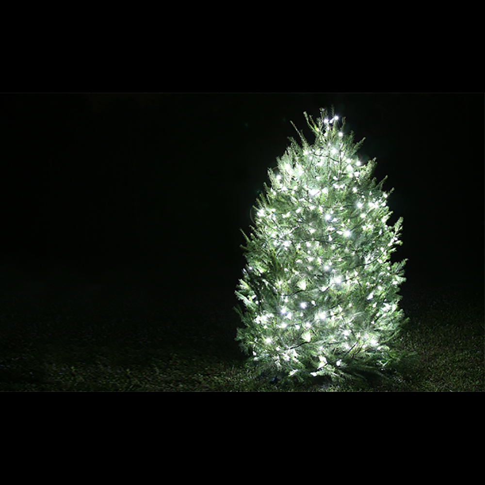 XP08 Solar LED Christmas Light Show Control System